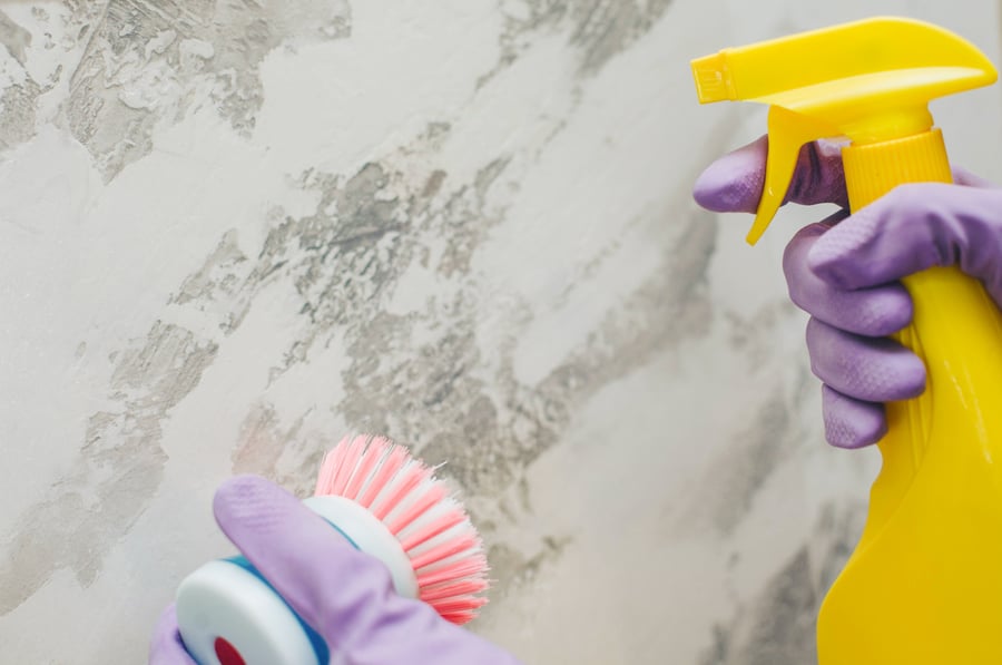 What is Mold Remediation? Understanding How it's Done
