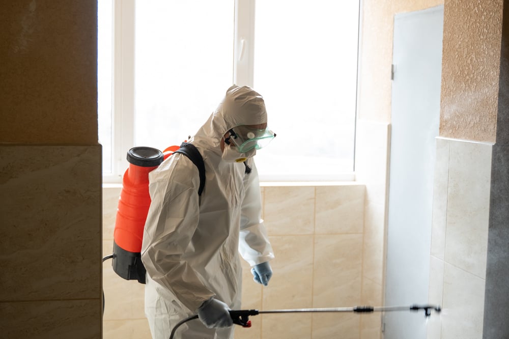 What Chemicals Do Mold Remediation Companies Use?