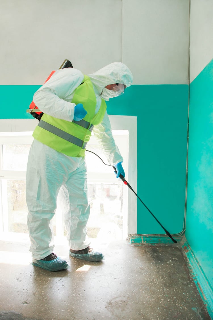 Breathe Easy: The Vital Role of Residential Mold Remediation
