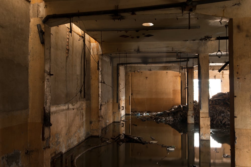 Mitigation Companies: Why You Might Need Their Expertise